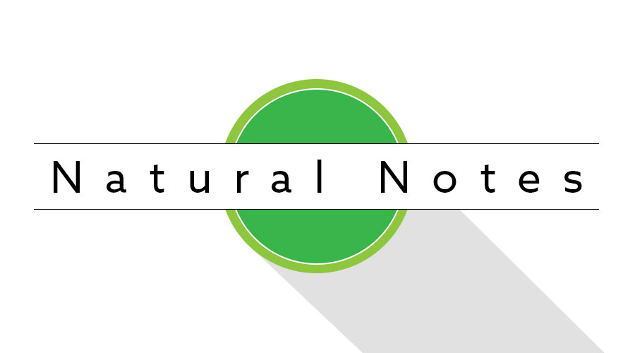 Getting the Edge on 2017 with Great Natural Styles